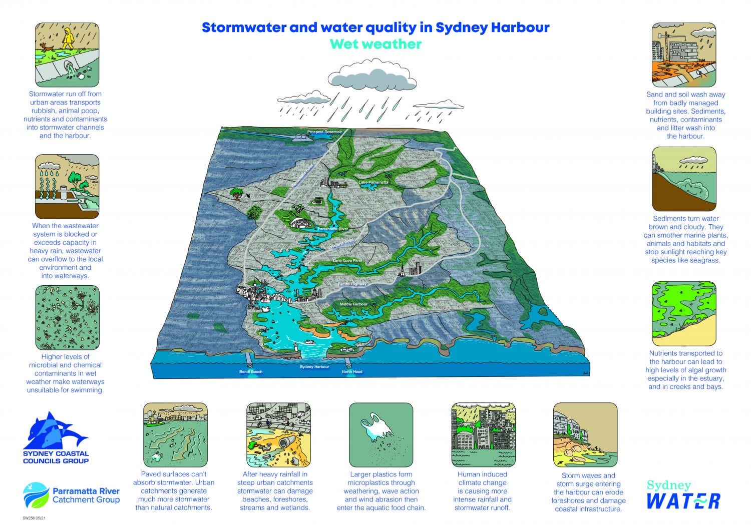Greater Sydney Harbour Coastal Management Program - Sydney Coastal ...